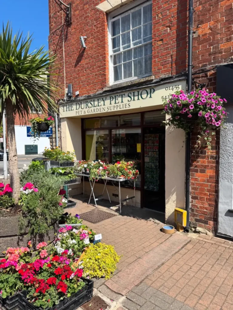Shop Local 2026 - Discover Dursley